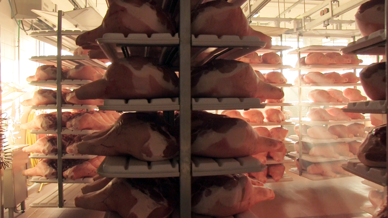 How Greci Enzo Raw Ham is made - the processing phases of raw ham ...
